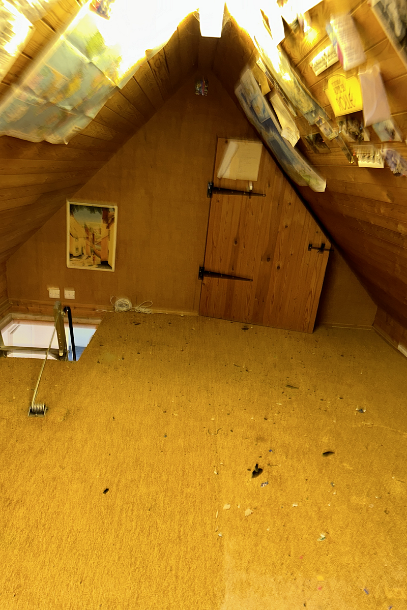 How Do I Clean My Loft And Keep It Tidy? - Clear It Out